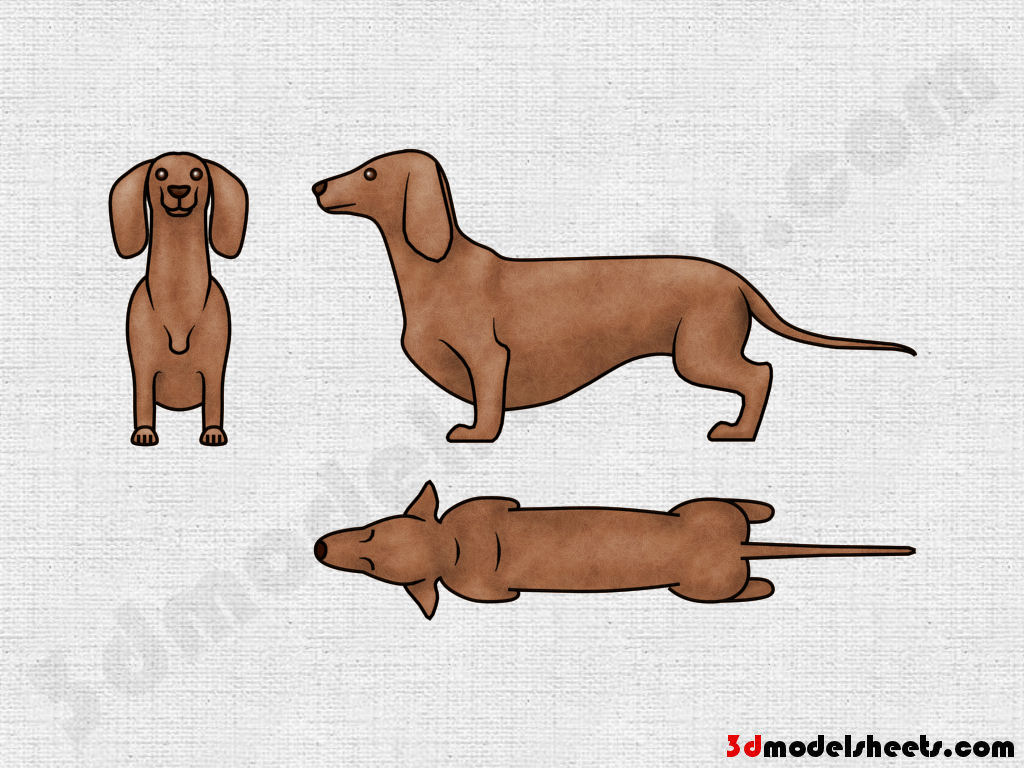 HIGH RESOLUTION TEXTURES: Free Animal Blueprints &Model Sheets
