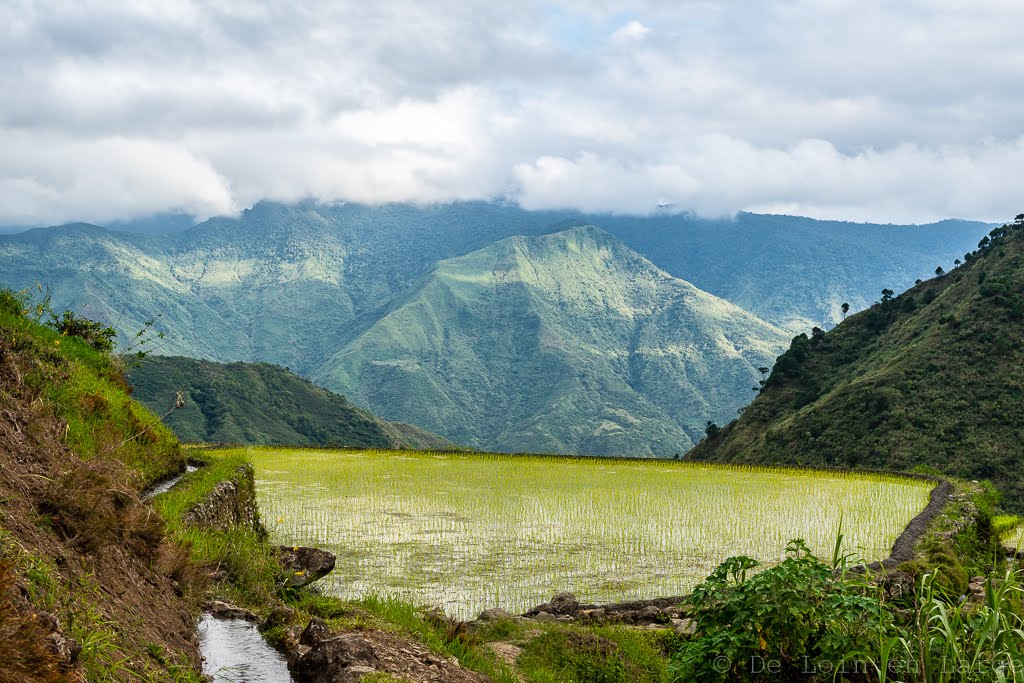 Philippines - jour 2 : Banaue - Buscalan - immersion au pays Kalinga