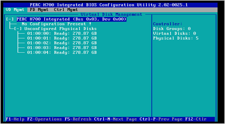 rboxspace: Dell Unified Server Configurator - multiple RAID configurations?