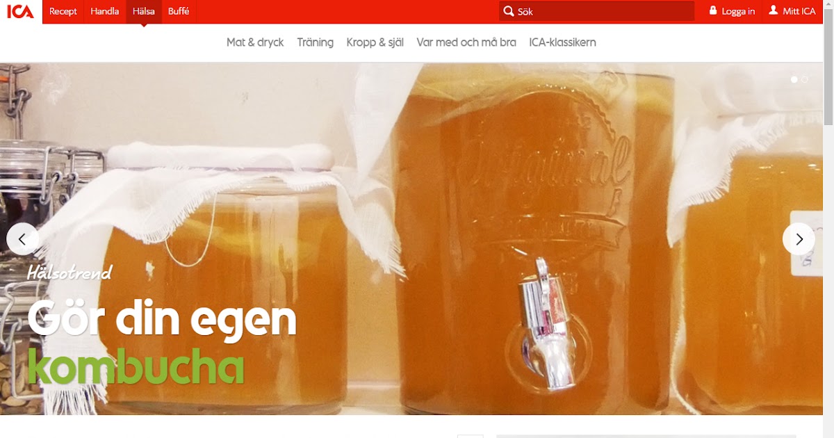 Gör egen kombucha! Scoby svamp till salu, skickas med vanlig post på 1 ...