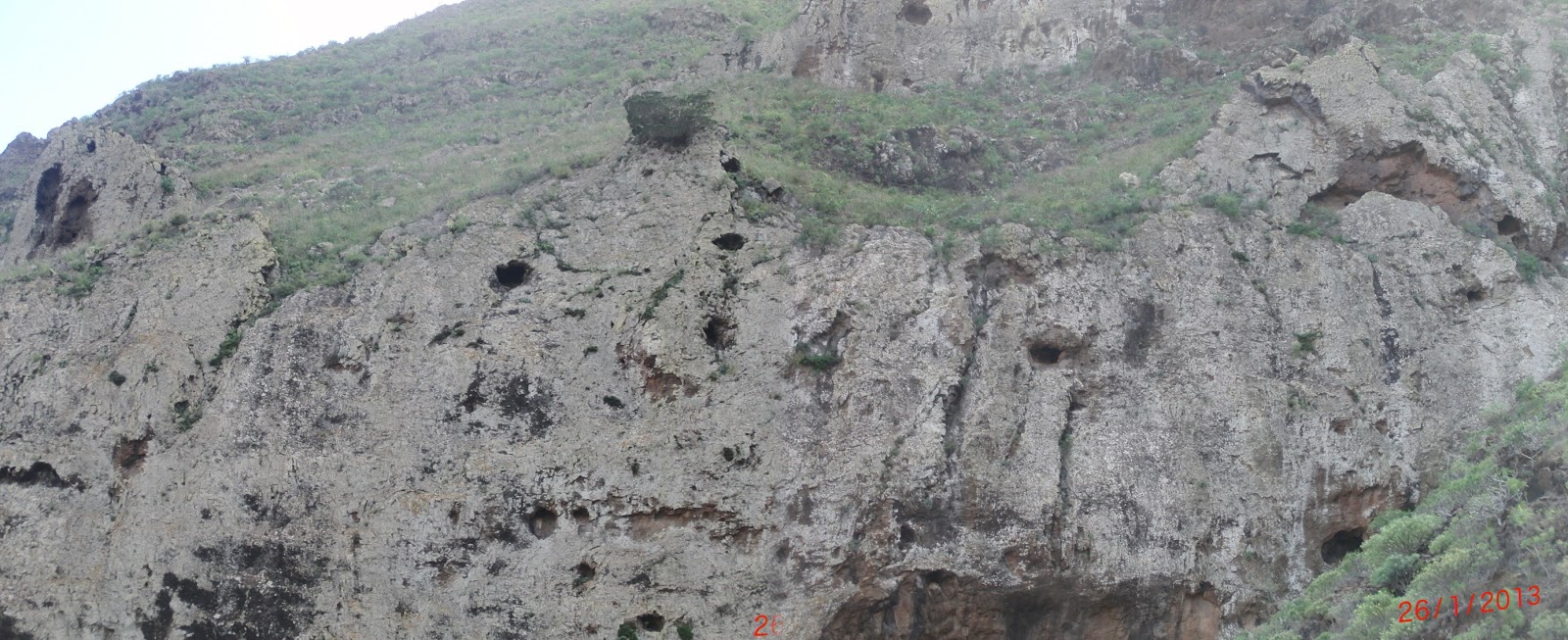 CANARIAS: HISTORIAS NATURALES.: 170. Vueltas por Veneguera.