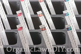 Organic Lawn DIY: DIY Printed Plant Labels