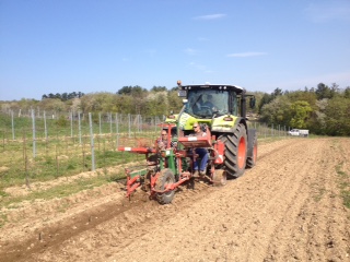 Weingut Kollwentz - Römerhof: Reben setzen