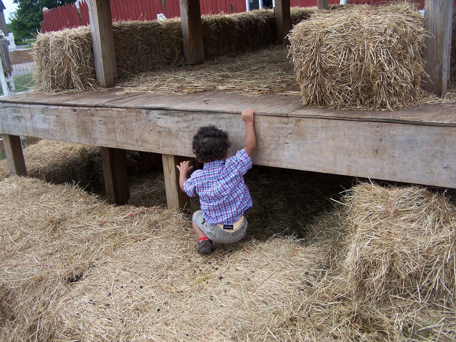Three Cats and a Baby: A Day At The Farm