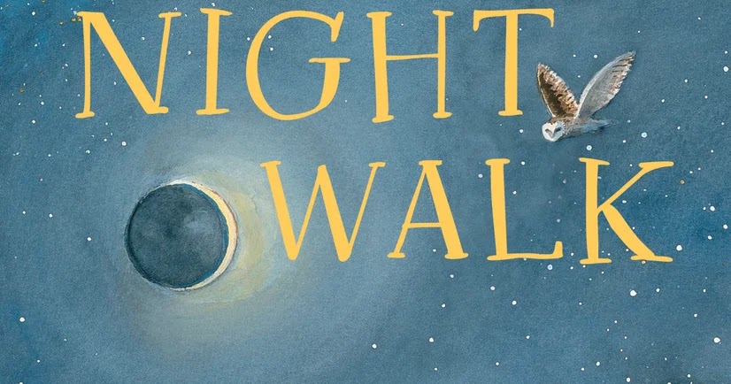 Kids' Book Review: Review: Night Walk