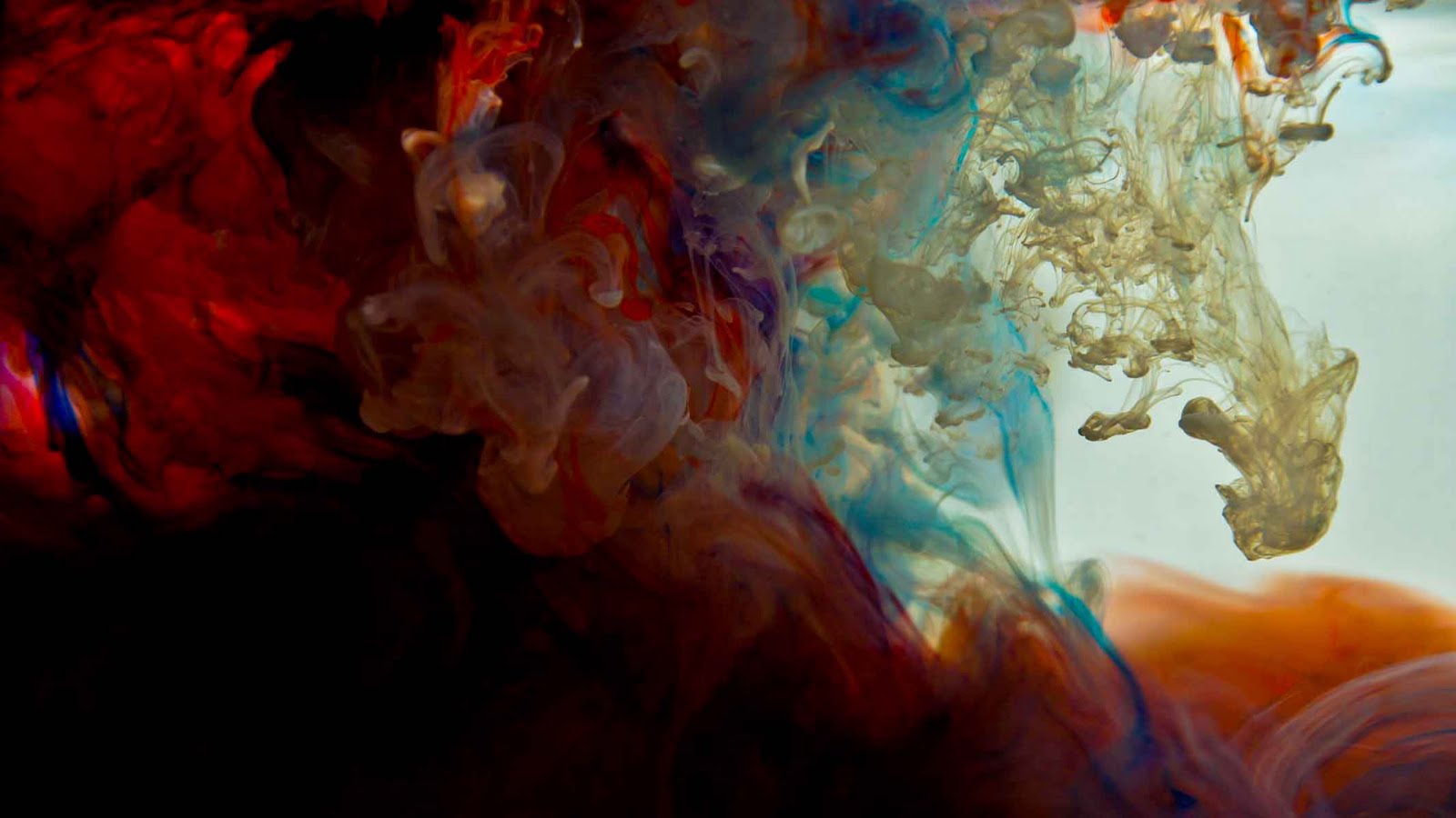 Soaring and Photography: Shooting Ink Droplets