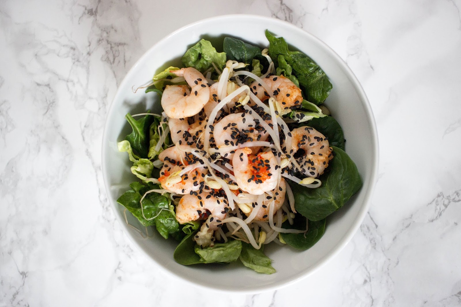 SHRIMP AND BEAN SPROUTS SALAD RECIPE — Style and Sushi