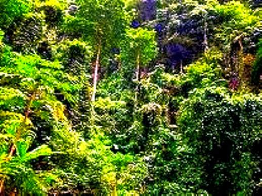 OFW Blogger: PINOY WEEKLY | Ang laksang buhay sa kabundukan ng ...