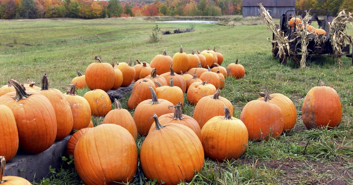 Ways to Celebrate Fall 2016 on Long Island