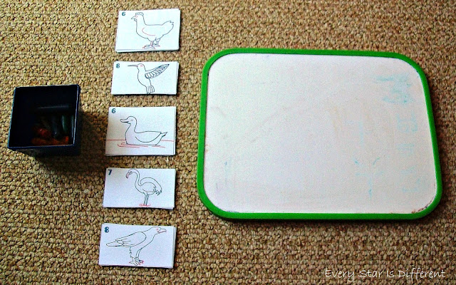 Bird Unit 2 with Free Printables - Every Star Is Different