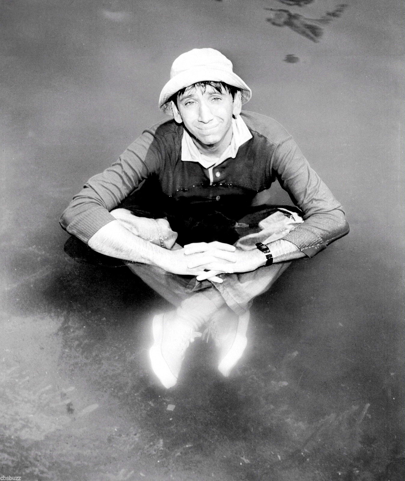 Pop Culture Safari!: Gilligan's Island