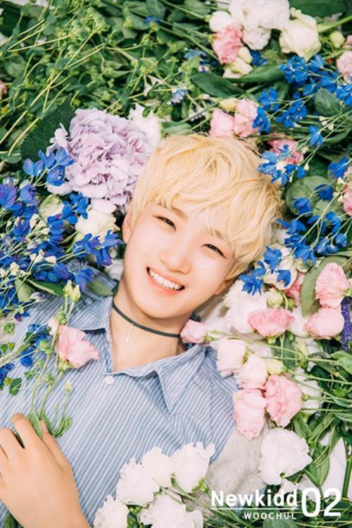 Profil, Biodata, Fakta NewKidd - Omah Kpop