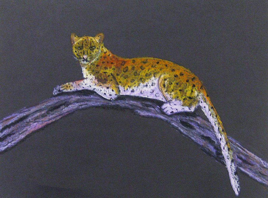 Blackfoot Art Center: Oil Pastel Animal Drawings