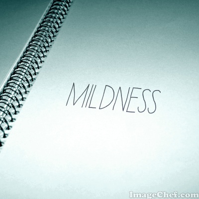 MEEKNESS — How To Cultivate It! - MoralGists