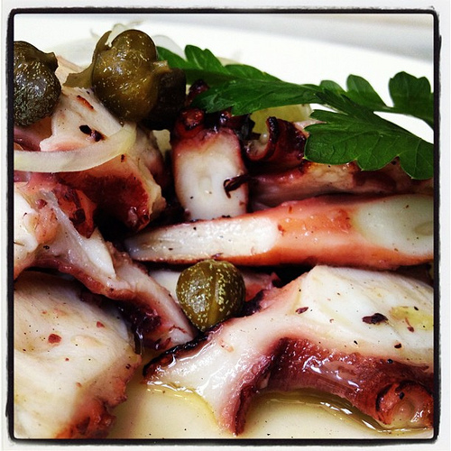 Behind the French Menu: Poulpe or Pieuvre – Octopus. Octopus on French ...