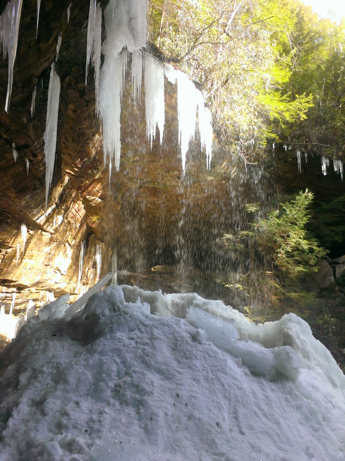 TRAVELING on a BUDGET : Northrup Falls located at Colditz Cove State ...