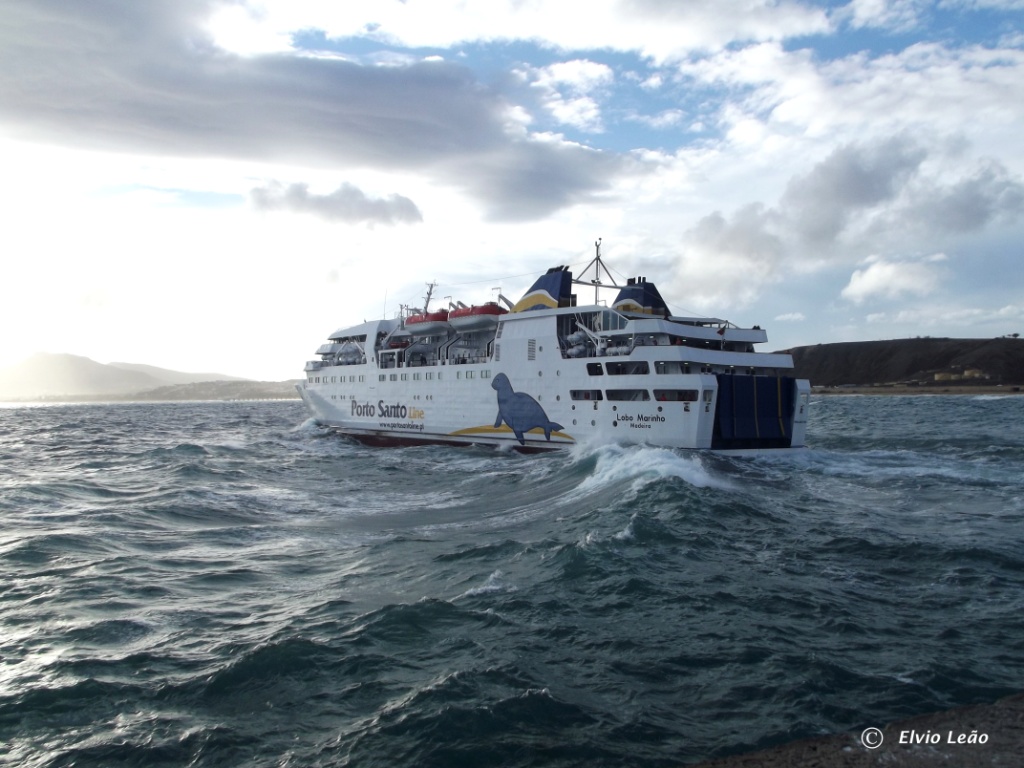 O Mar do Porto Santo: Lobo Marinho a sair debaixo mau tempo