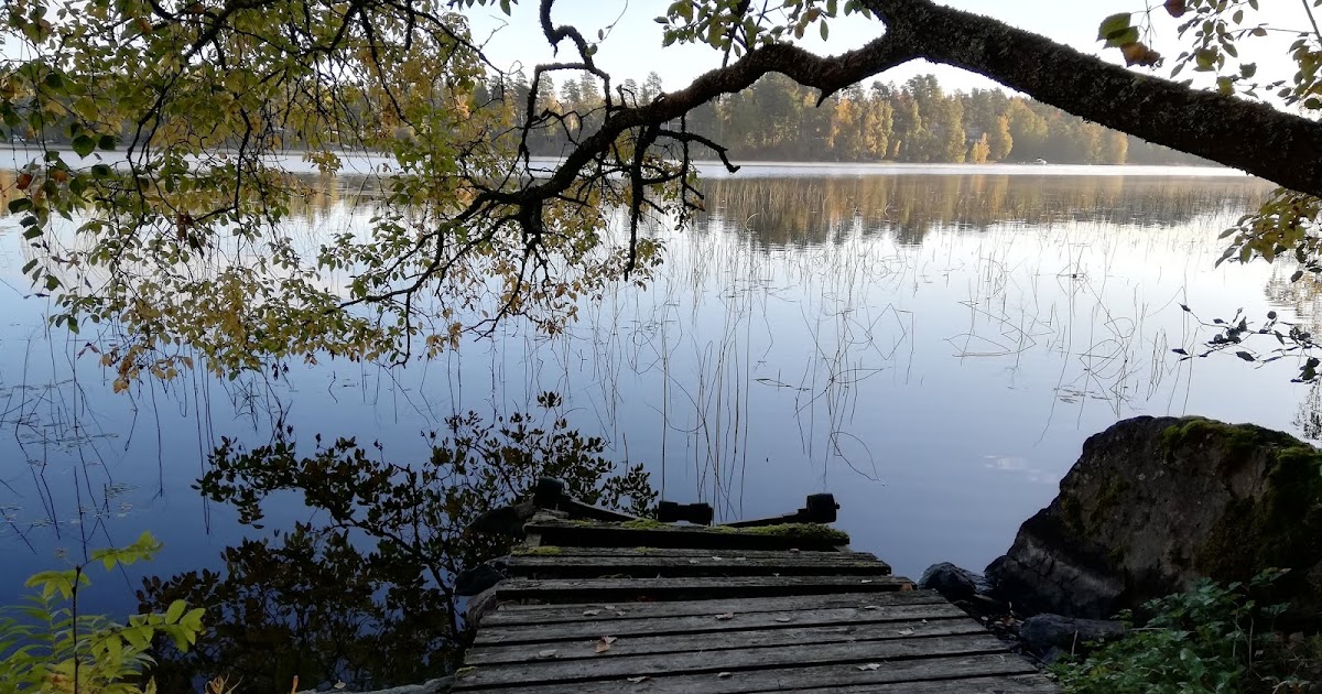 Elämänsuru - kun suru tuli elämään: Onko suru sairaus?