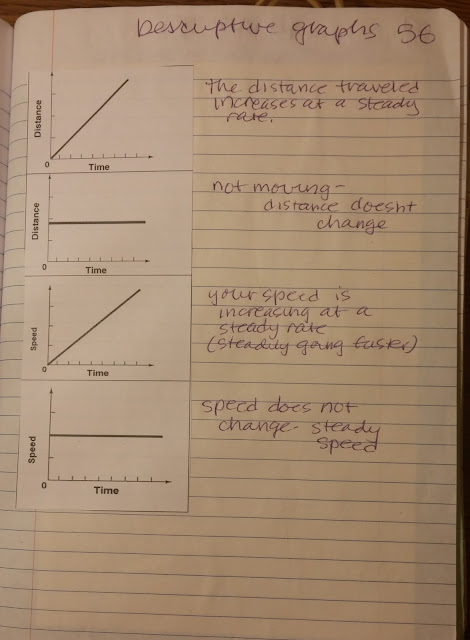 Beautiful Math: Descriptive Graphs
