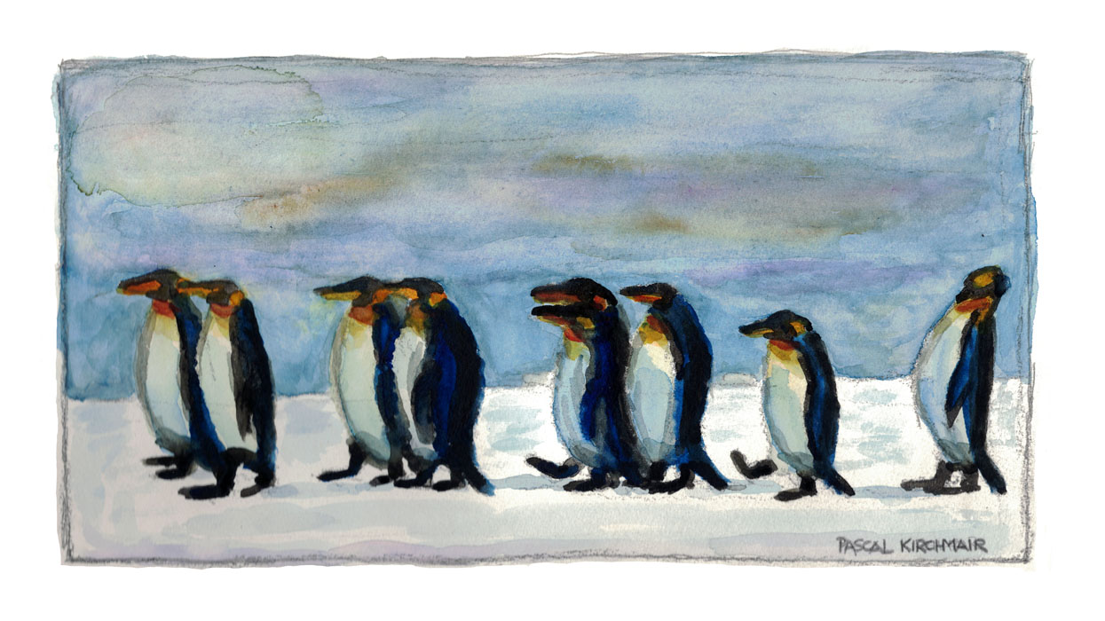 Pascal Kirchmair: King Penguins