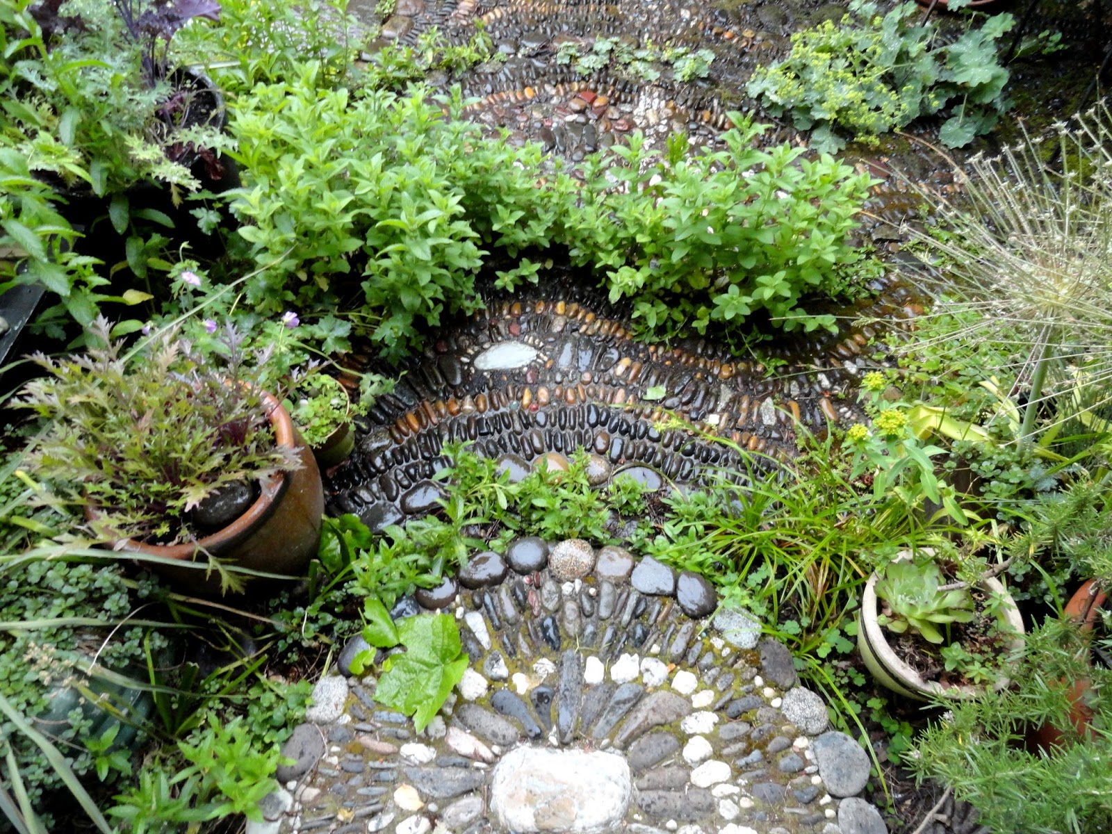 danger garden: The Garden of Jeffrey Bale