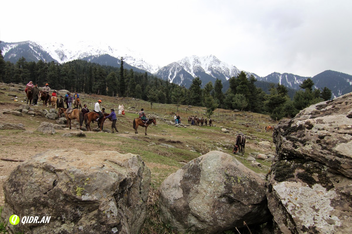 qidr.an ©: Kashmir 2014 | Day 3 Pahalgam : Pony ride