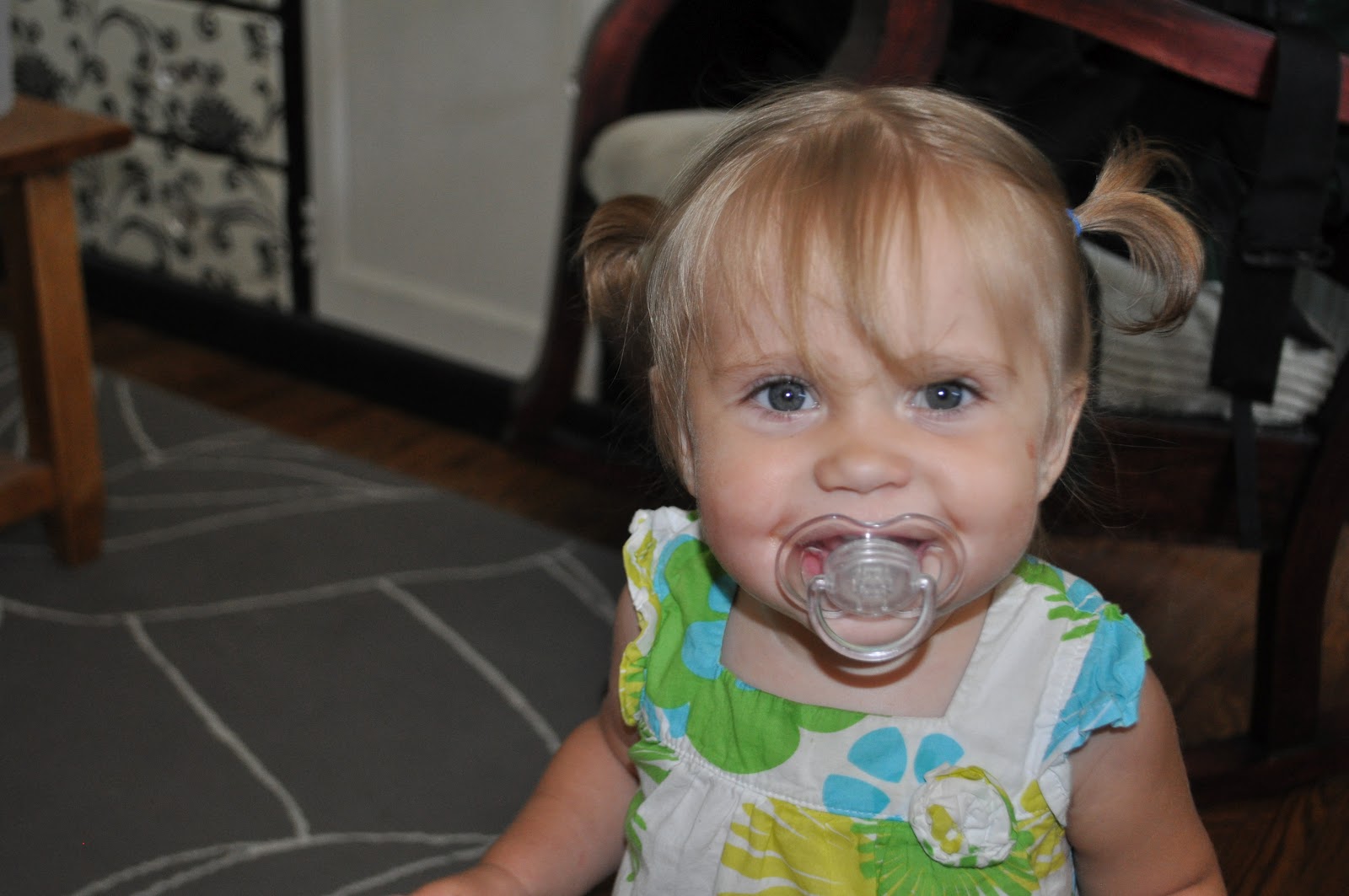 Tenney Family: Brooklyn's First Pigtails