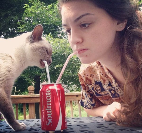 Daily Funny Collection #500 (34 Pics)