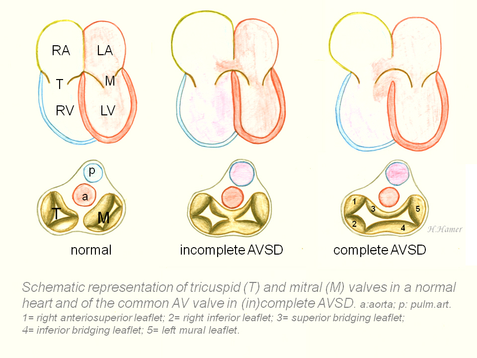 Our Dynamic Life: 2016