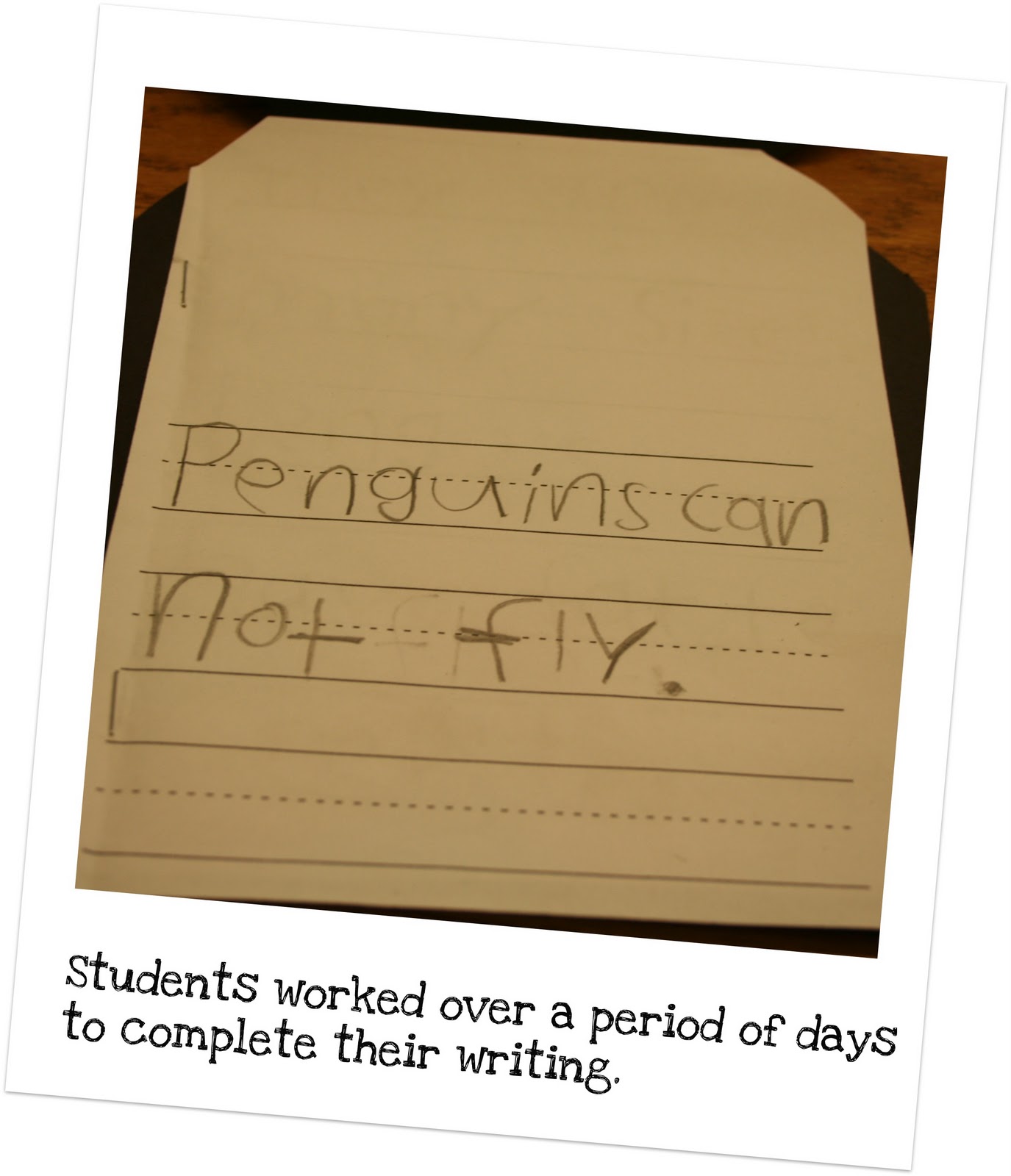 Trees. Tree Maps, Everywhere! - Learning With Mrs. Parker