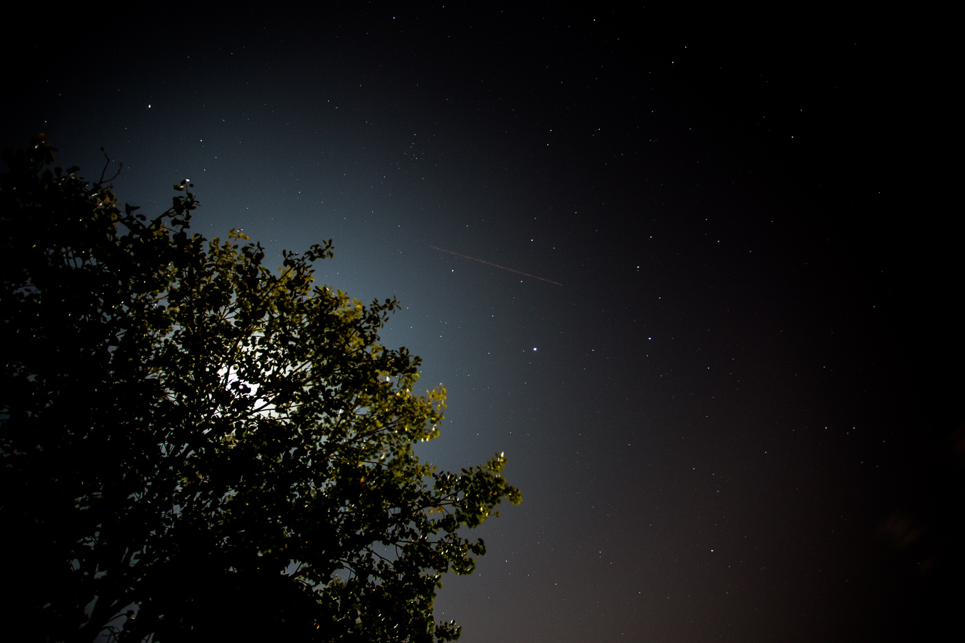 Neal Post Photography