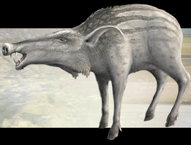 Evolution3.0: 5 Millones de años en el futuro