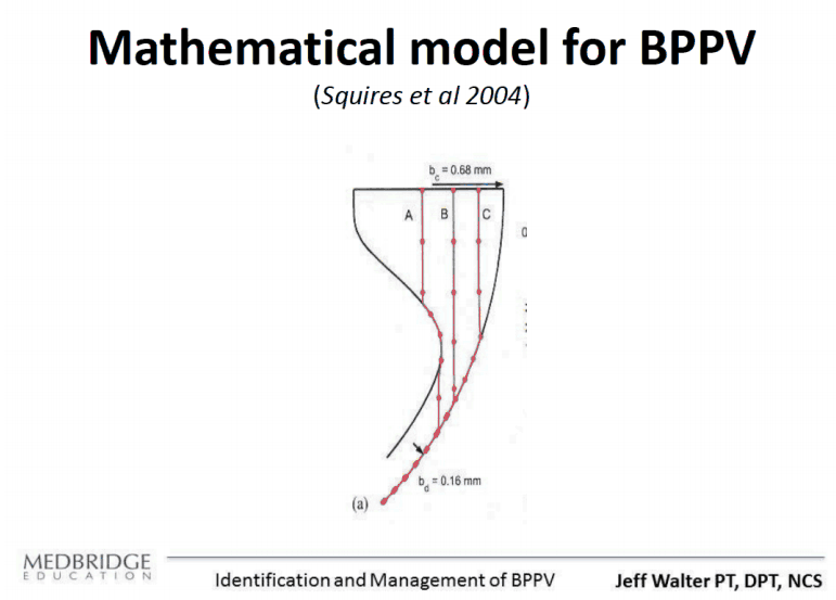 MedBridge Course Review: Vestibular Rehabilitation: Identification and ...