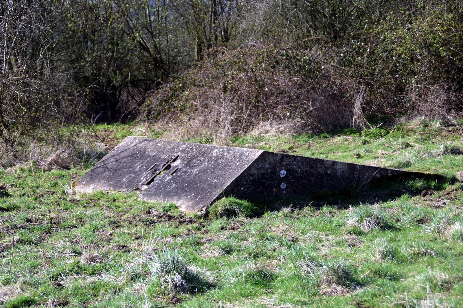 Enjoy your time with beautiful places: Borough Hill is More Than Just A ...