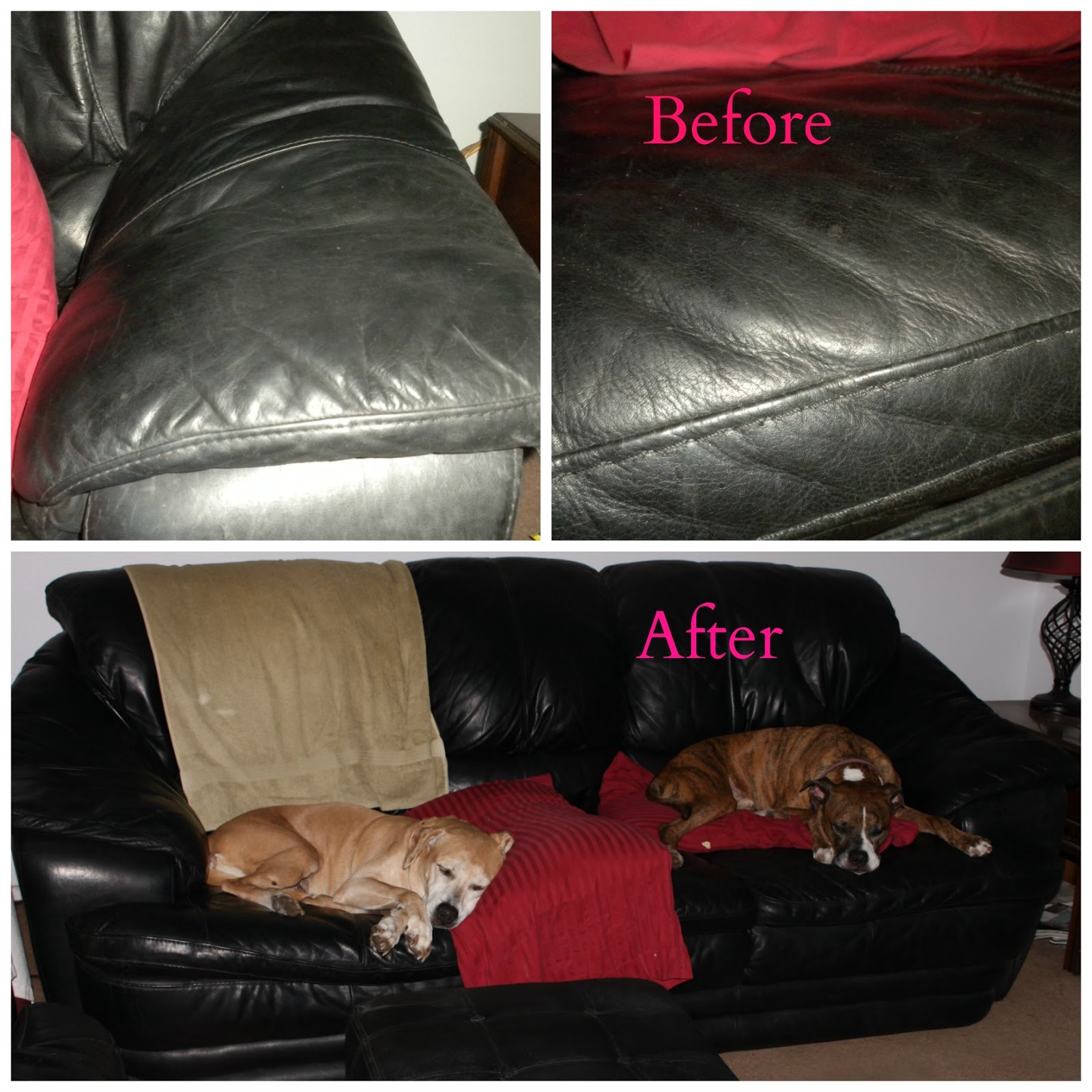 MadSnapper: HONEY, let me tell you.....