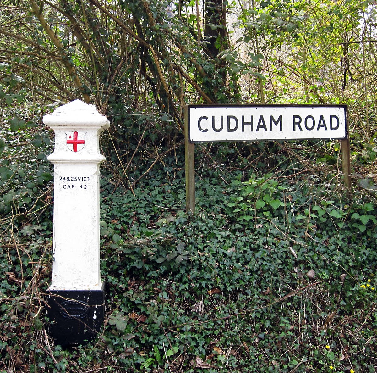 Primrose Walk from Cudham | Naturally