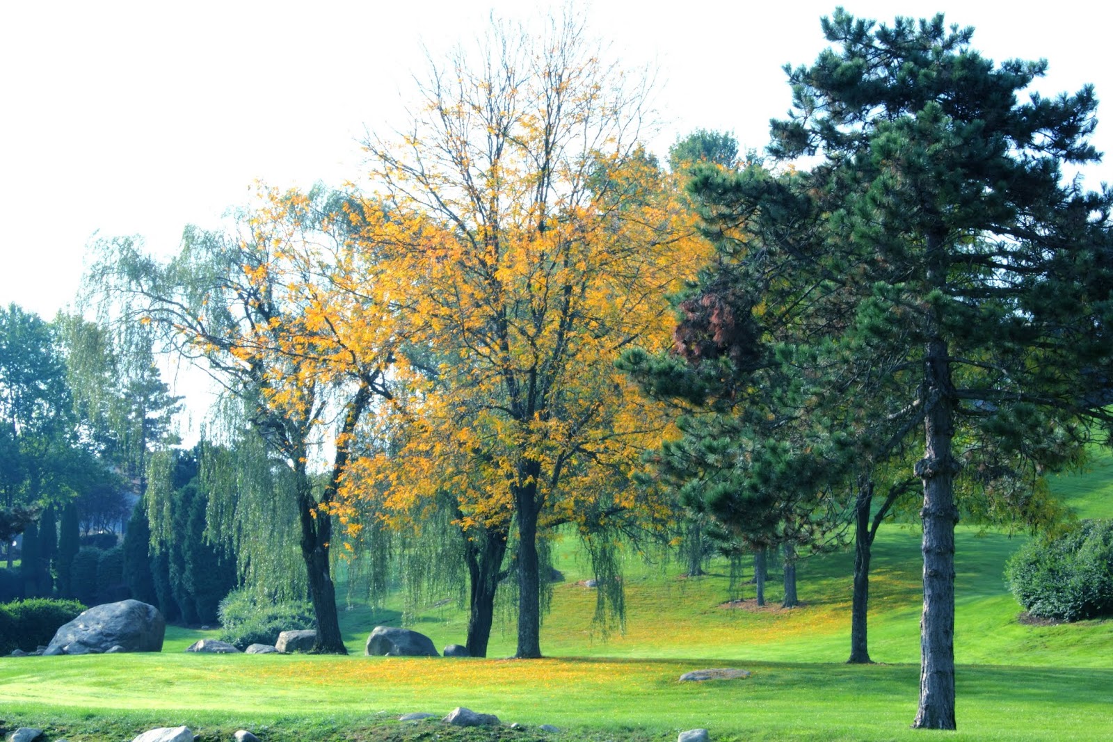 A Photo walk on a beautiful Autumn morning ~ Midnight Masala!! - The ...