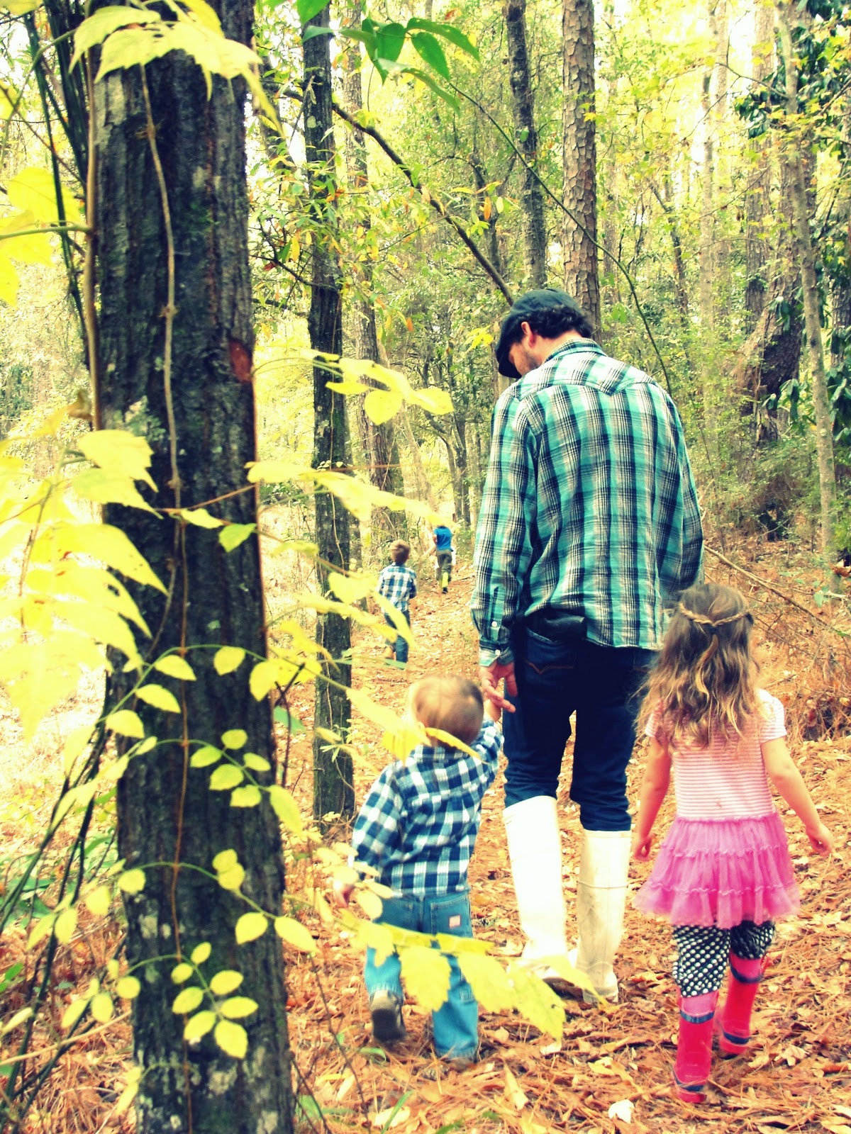 The Joyeful Journey We Are The Woods People the-joyeful-journey-we-are-the-woods-people
