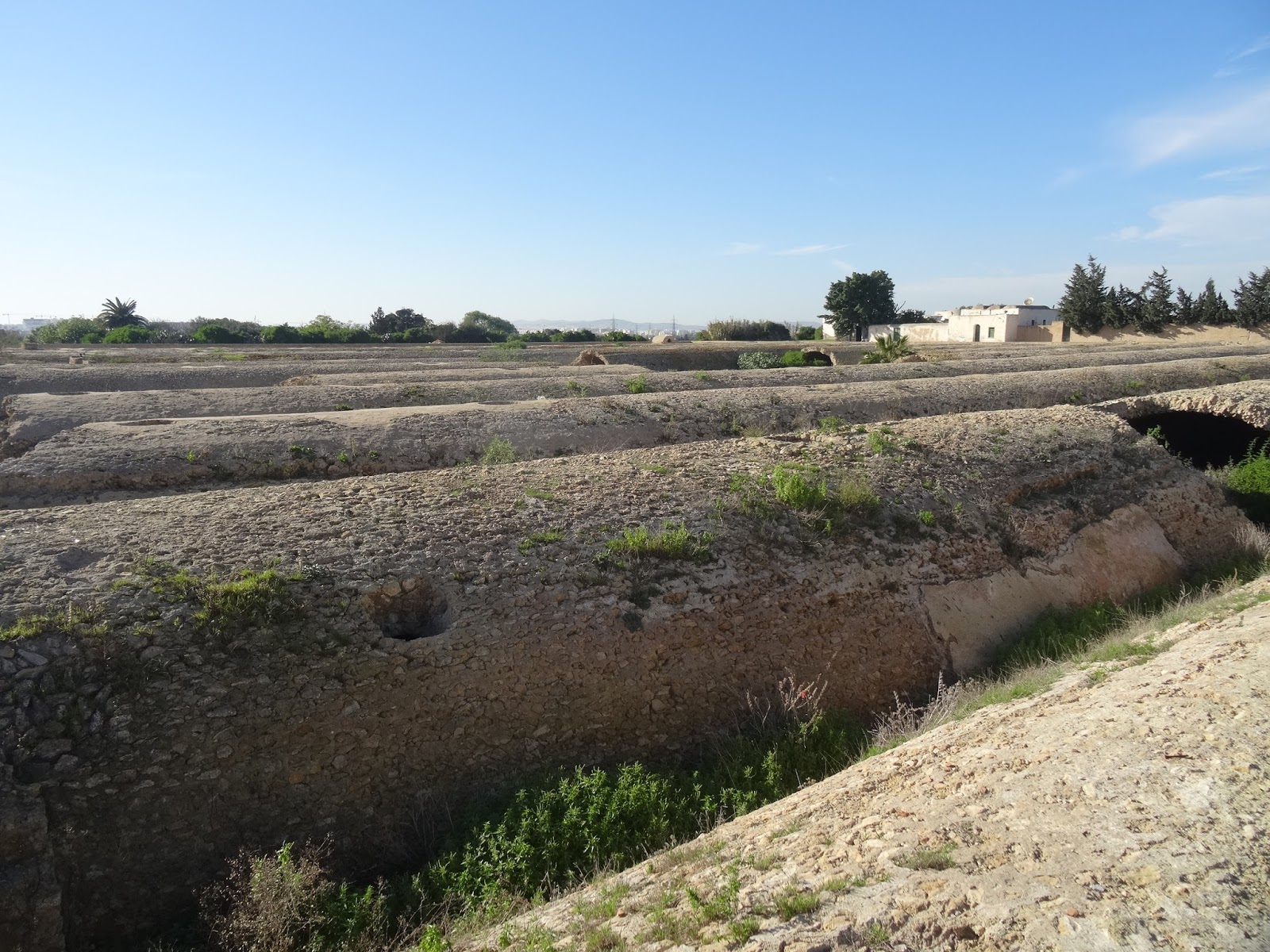 Ainsi va la vie ... pérégrinations de la famille salaün: Carthage : la ...