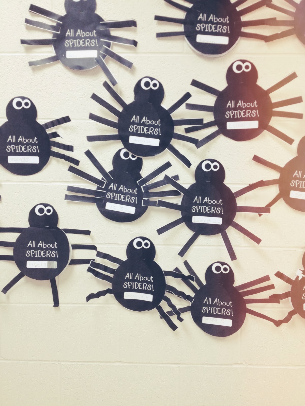 Simply Second Grade: Spider Week! {LOTS of FREEBIES}