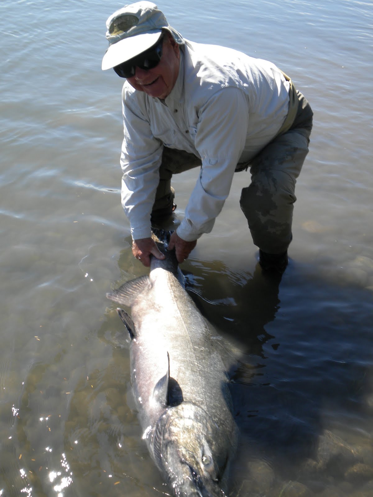 Nicholas Dean Outdoors | Terrace, BC, Canada: Monster 70 lb Skeena ...