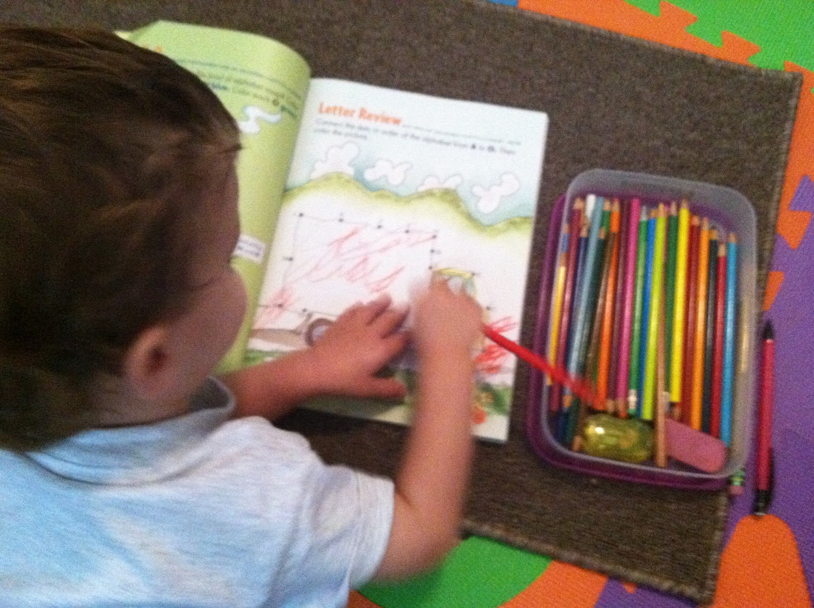 Week 5: Reviewing and reinforcing the basics - The Natural Homeschool