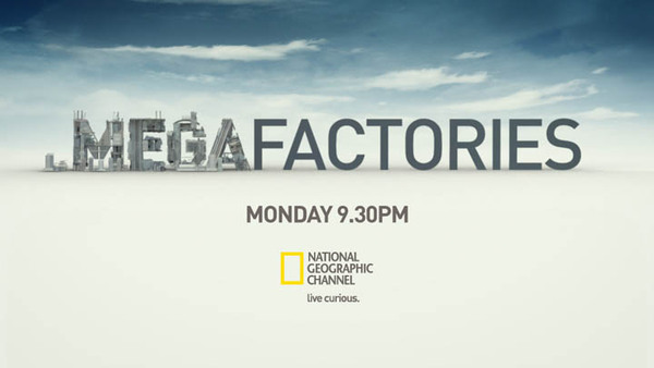 Snakes | discover-wd