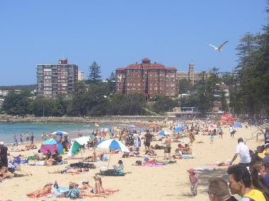 Manly Beach Beautiful National Park Favourite Beach In Sydney Tourist ...