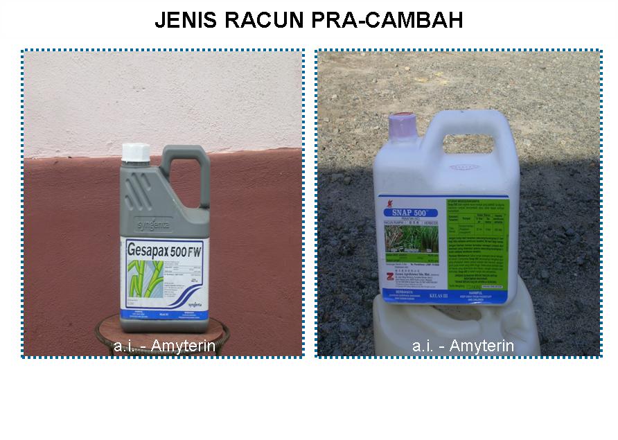 TKPM Gajah X Mati: MUSUH TANAMAN DAN RUMPAI MENJEJASKAN HASIL DAN KUALITI