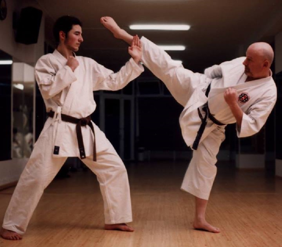 KARATE SHITO RYU ASTURIAS: agosto 2013