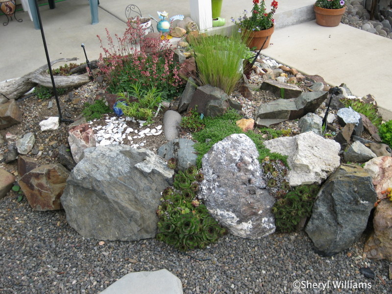 Yard Fanatic: Rock Star