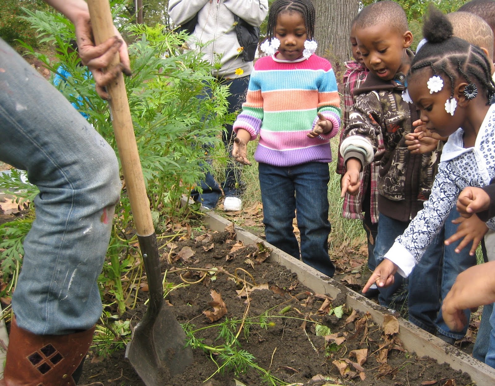 Teachers for Sustainable Classrooms: August 2011