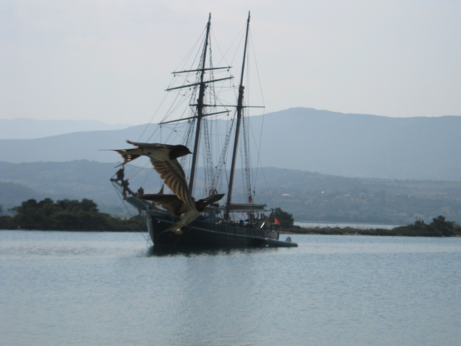 Τα θαλασσινά....: τα πειρατικα μου....