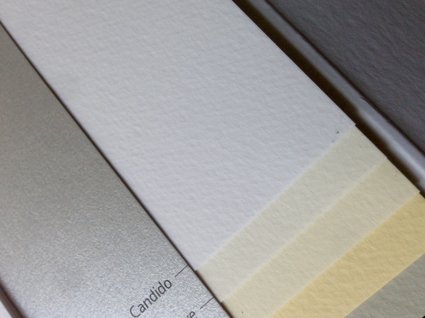 Justin's Amazing World At Fenner Paper: New Modigliani Swatch